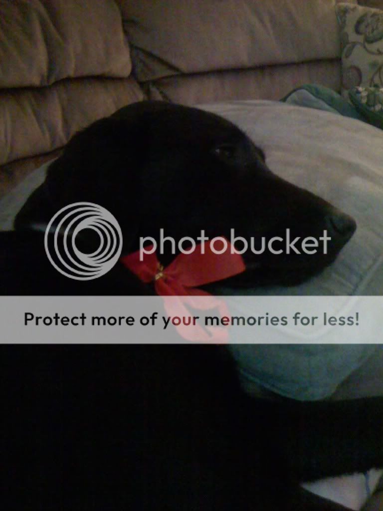 My dog is dead – Non Film Score Discussion – Film Score Monthly ...