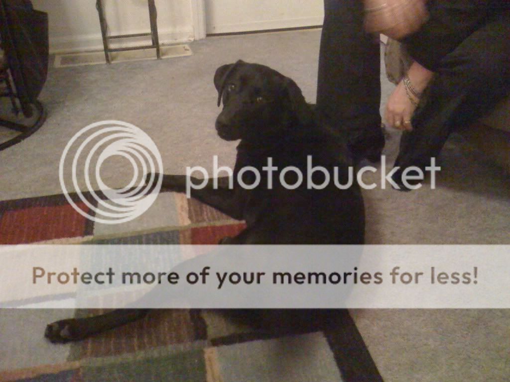 My dog is dead – Non Film Score Discussion – Film Score Monthly ...